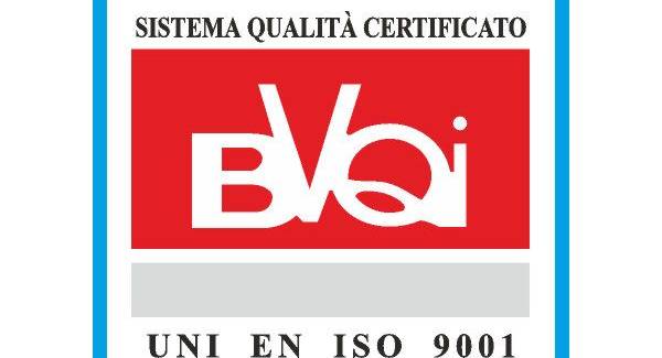 Векторный рисунок логотипа BVQI logo