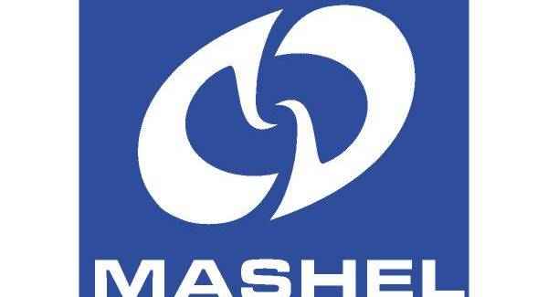 Макет логотипа бесплатно Mashel logo
