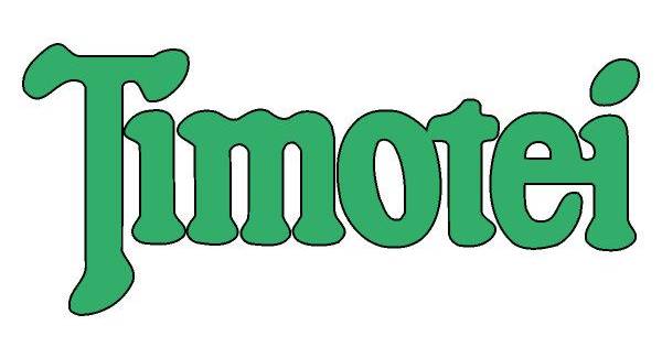 Фирменный логотип компании Timotei logo